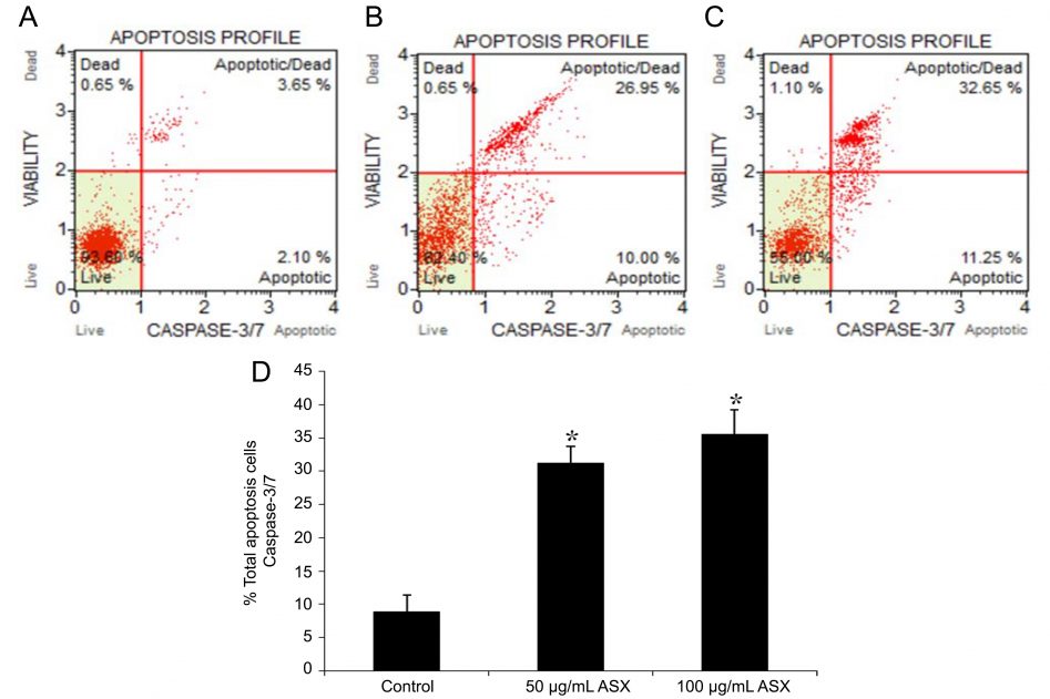 Apoptotic effect of astaxanthin from white shrimp shells on lung cancer ...