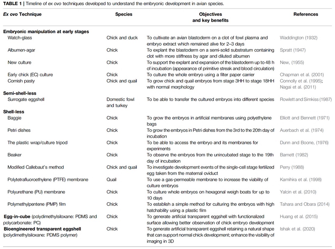 Avian Embryonic Culture: A Perspective of In Ovo to Ex Ovo and In Vitro ...