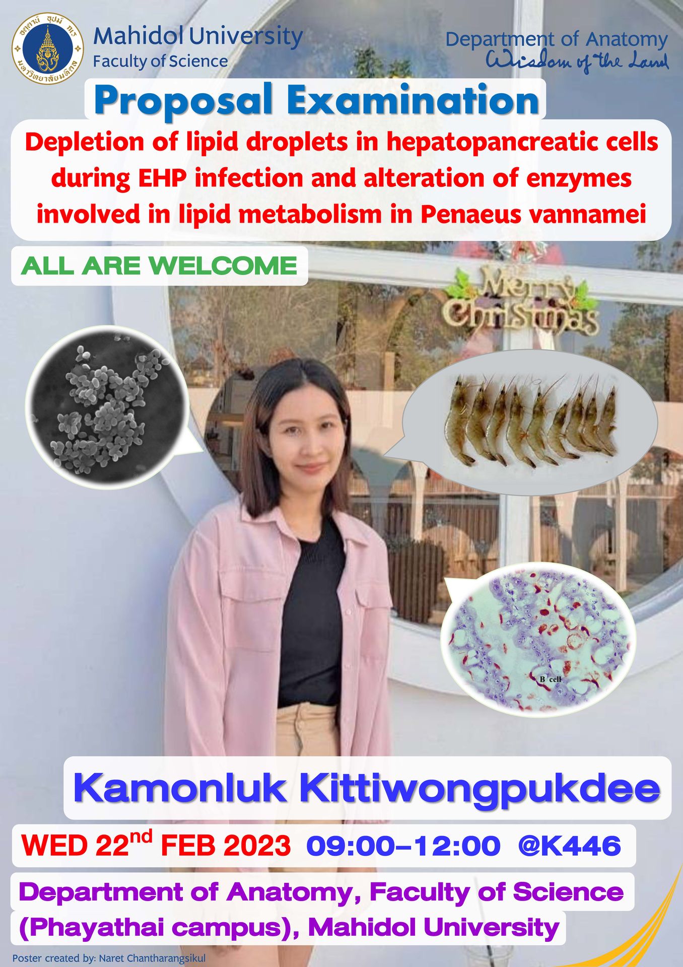 Kamonluk Kittiwongpukdee’s Proposal Examination on Wednesday 22nd February 2023, 09:00-12:00 ...