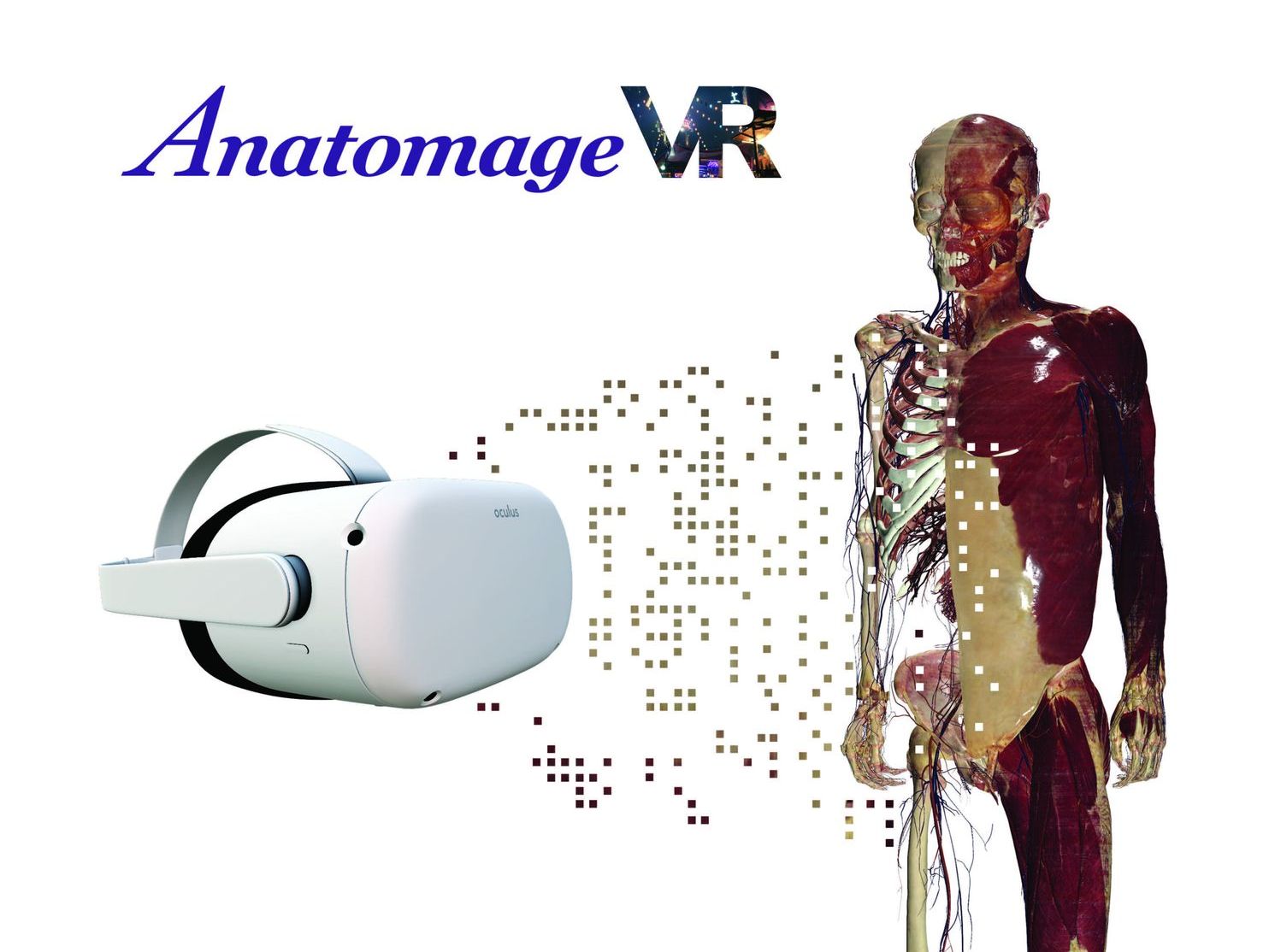 Anatomage VR demonstration on Tuesday 28th February 2023, 13.30 – 15.30 ...
