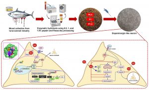 Alleviative and Anti-Inflammatory effects of tuna blood hydrolysates on ...