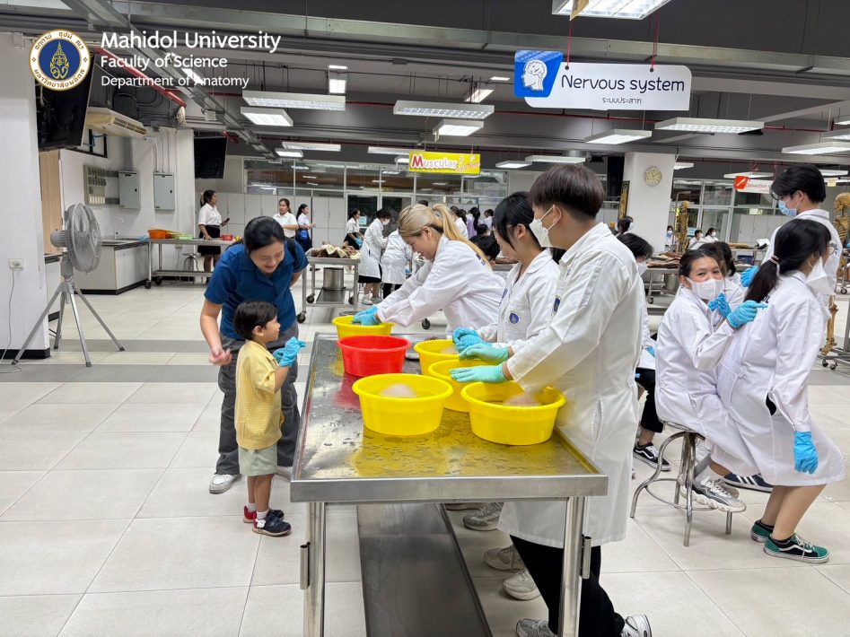 ภาควิชากายวิภาคศาสตร์ คณะวิทยาศาสตร์ ร่วมจัดกิจกรรม Mahidol Science ...