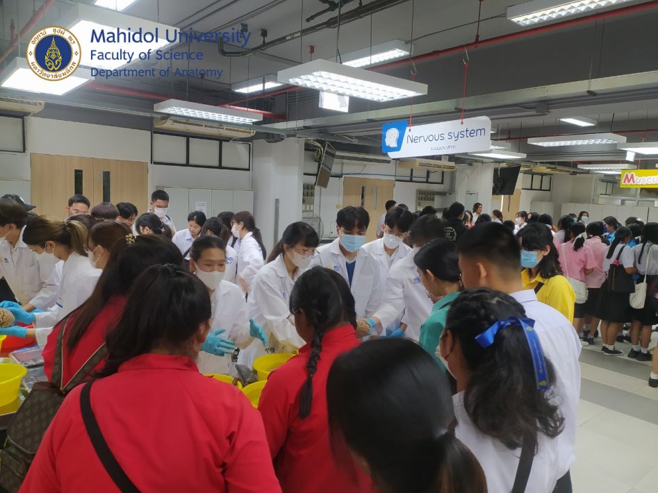 ภาควิชากายวิภาคศาสตร์ คณะวิทยาศาสตร์ ร่วมจัดกิจกรรม Mahidol Science ...