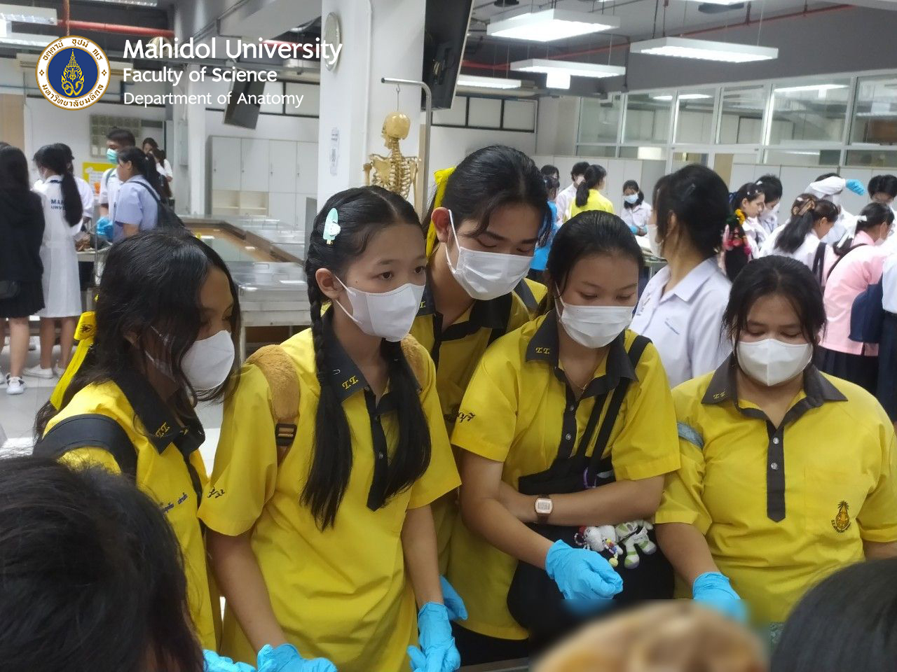 ภาควิชากายวิภาคศาสตร์ คณะวิทยาศาสตร์ ร่วมจัดกิจกรรม Mahidol Science ...