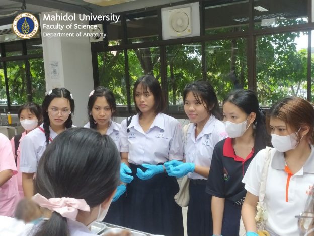 ภาควิชากายวิภาคศาสตร์ คณะวิทยาศาสตร์ ร่วมจัดกิจกรรม Mahidol Science ...