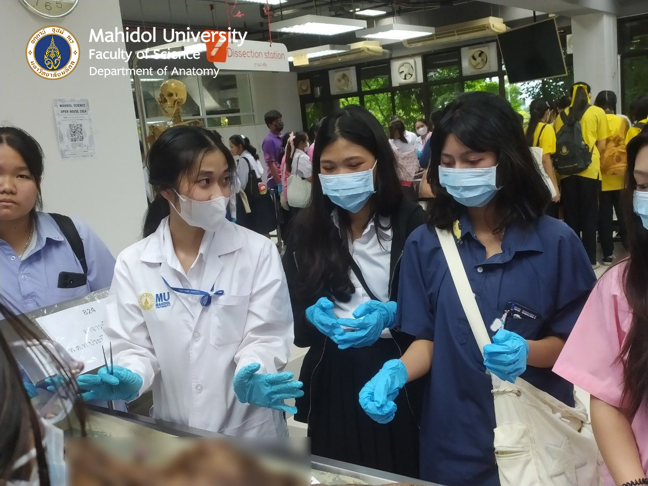 ภาควิชากายวิภาคศาสตร์ คณะวิทยาศาสตร์ ร่วมจัดกิจกรรม Mahidol Science ...