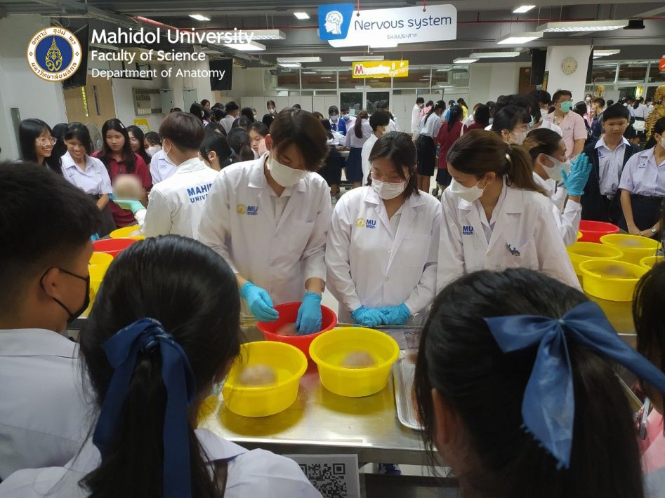 ภาควิชากายวิภาคศาสตร์ คณะวิทยาศาสตร์ ร่วมจัดกิจกรรม Mahidol Science ...