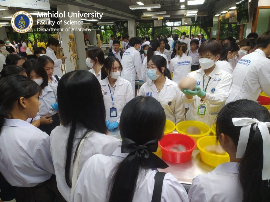 ภาควิชากายวิภาคศาสตร์ คณะวิทยาศาสตร์ ร่วมจัดกิจกรรม Mahidol Science ...