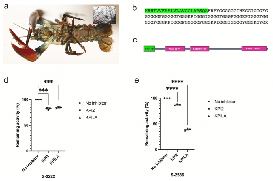 Specific host factors determine resistance in a North American crayfish ...