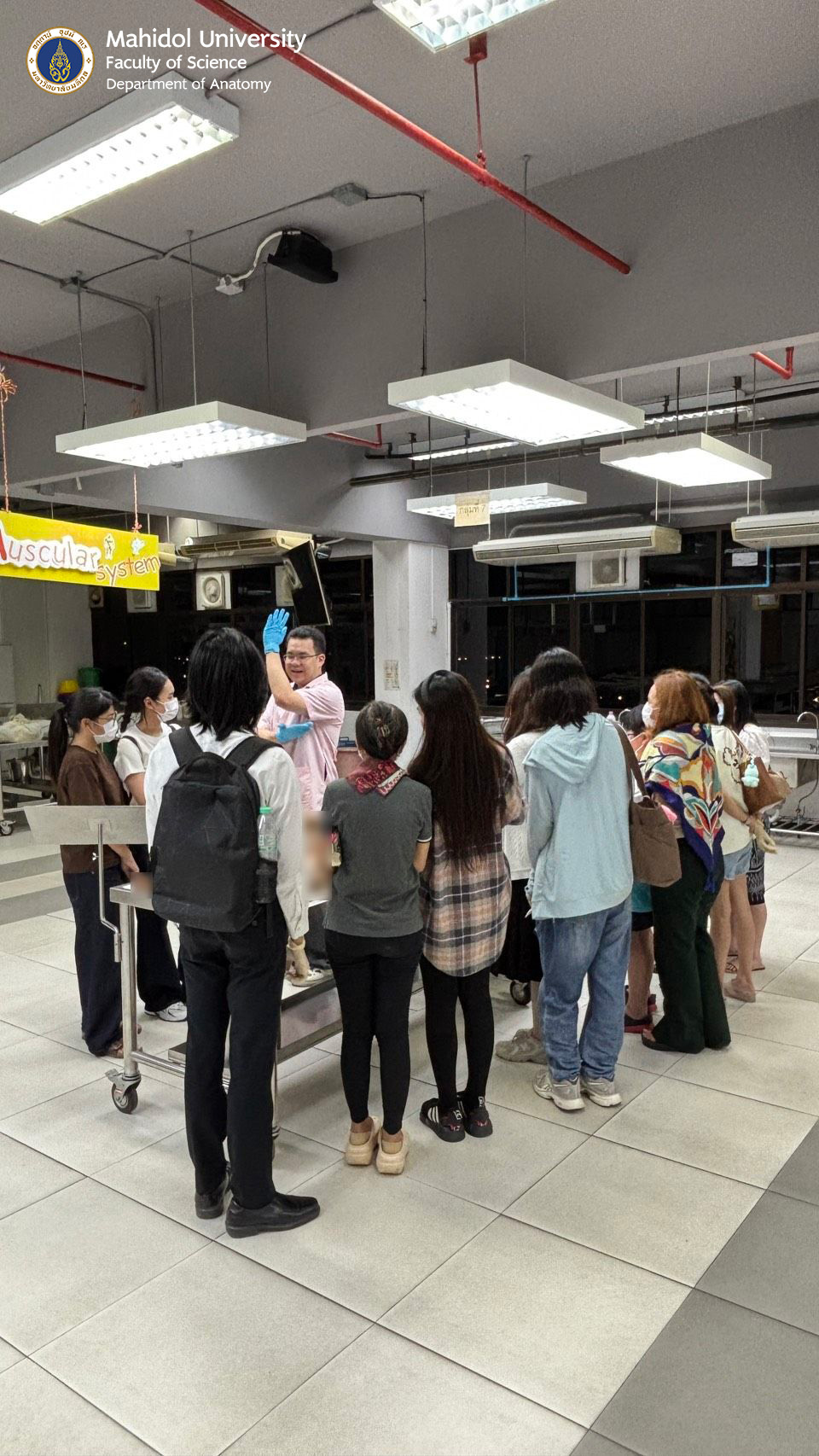ภาควิชากายวิภาคศาสตร์ คณะวิทยาศาสตร์ มหาวิทยาลัยมหิดล จัดงาน Night ...