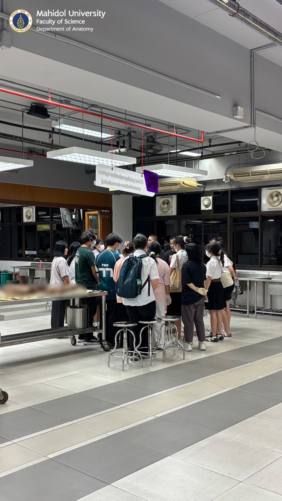 ภาควิชากายวิภาคศาสตร์ คณะวิทยาศาสตร์ มหาวิทยาลัยมหิดล จัดงาน Night ...