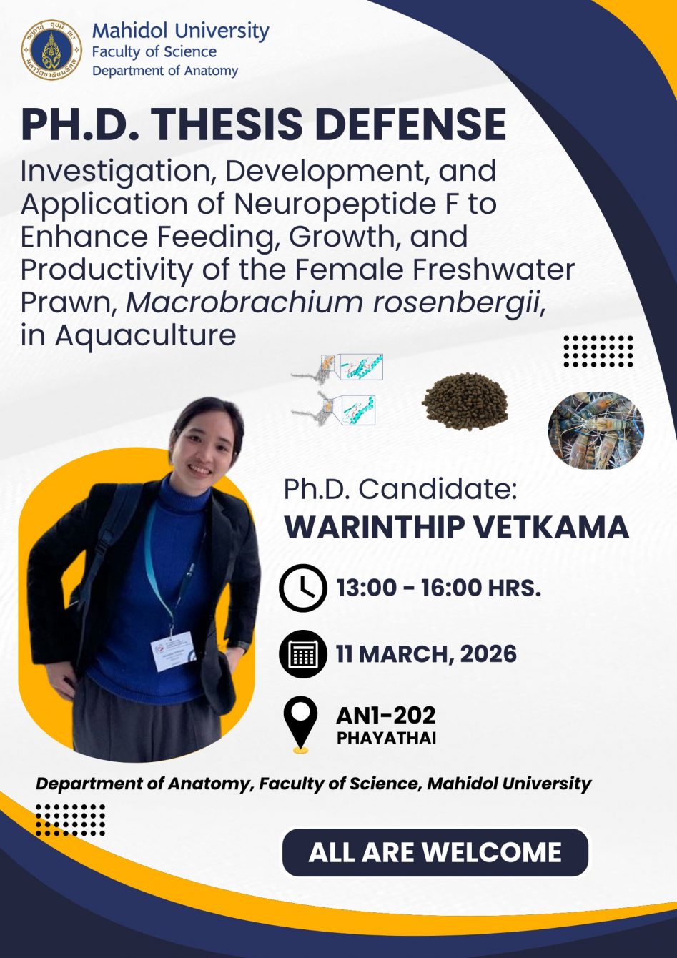 Warinthip Vetkama’s Ph.D. Thesis Defense on Wednesday 11 March 2026, 13 ...
