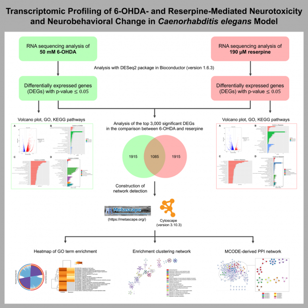 Transcriptomic Profiling of 6-OHDA- and Reserpine-Mediated ...